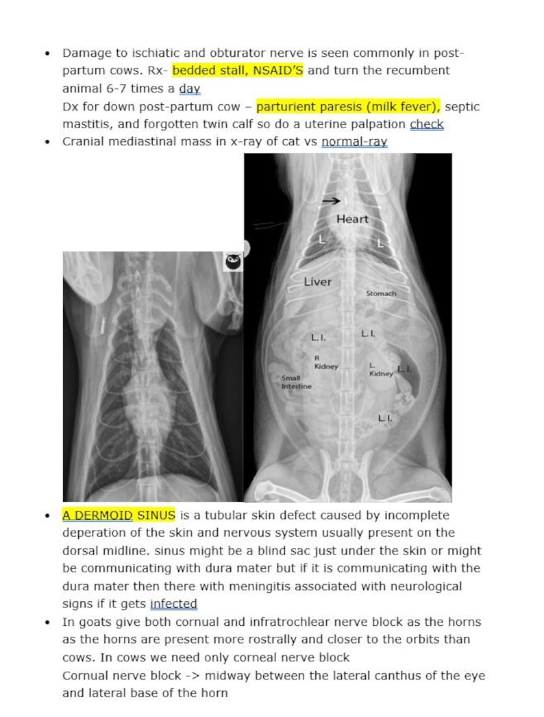 NAVLE Mastery Bundle Comprehensive Vet School Notes and NAVLE Prep ...