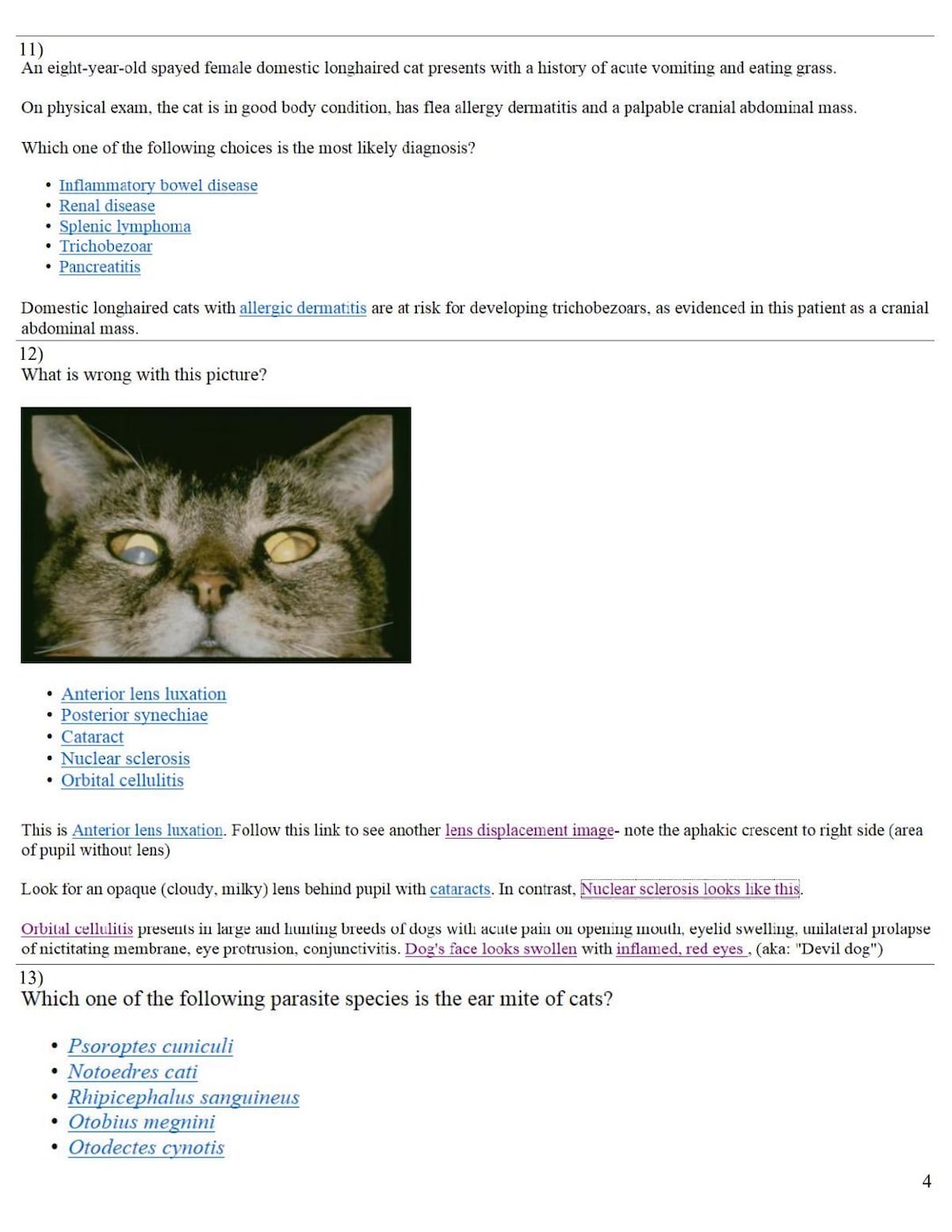 Ultimate Feline NAVLE Questions Bank for NAVLE Prep - Comprehensive ...