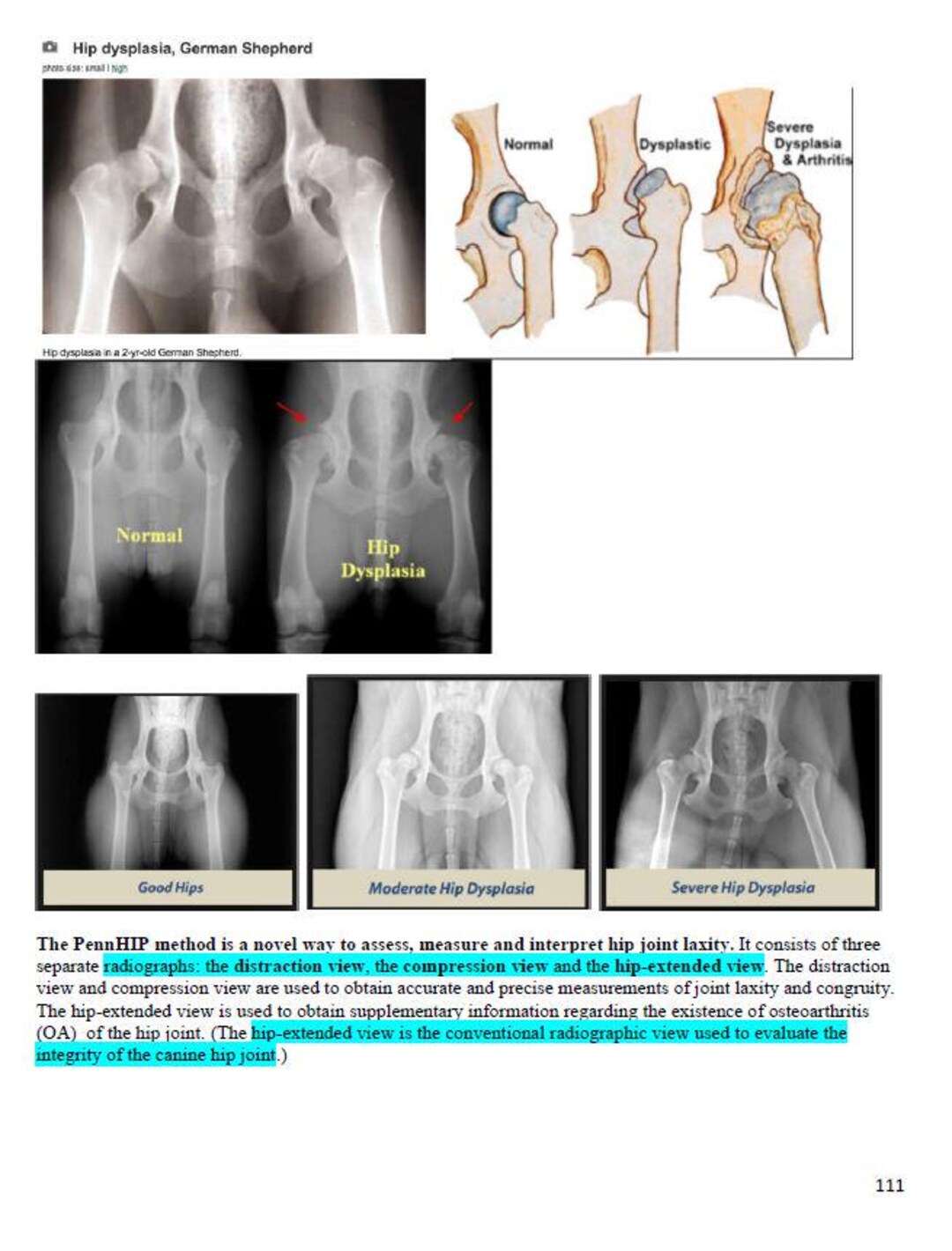 Ultimate BCSE Notes - Ultimate BCSE Study Guide - BCSE Notes With ...
