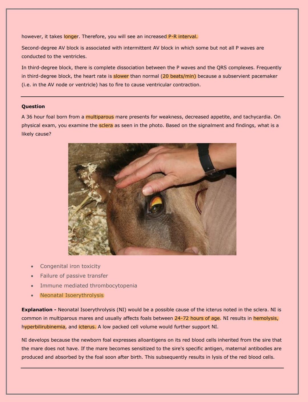 Ultimate Equine NAVLE Questions Bank for NAVLE Prep - Comprehensive ...