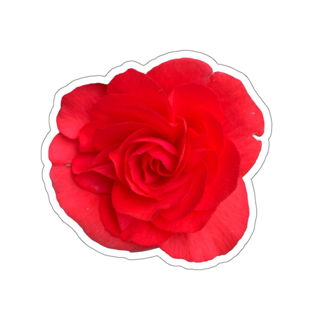 Red Rose Flower Sticker - Etsy