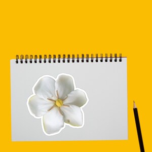 Gardenia Flower Sticker - Etsy