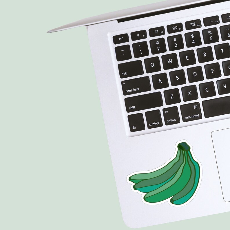 Green Bananas Sticker / Cheeky Banana Sticker - Etsy