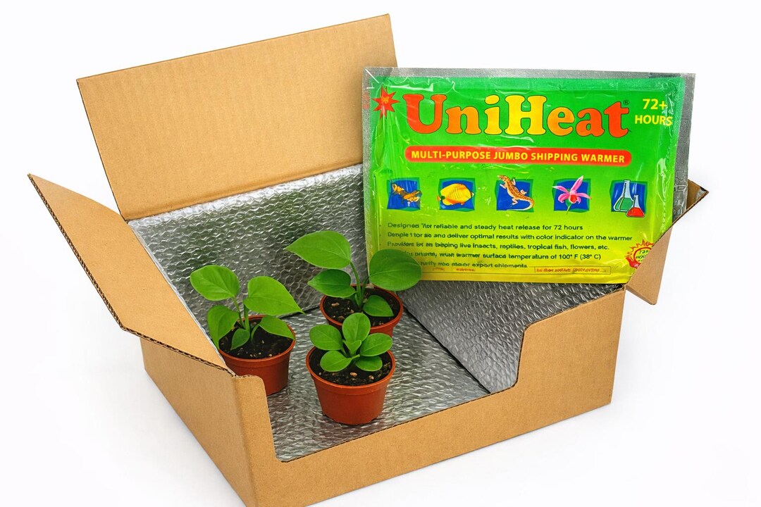 Plant Shipping Heat Pack (72+hours) + Insulation Add-on (optional) - Etsy