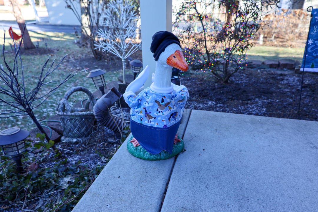 Adult Porch Goose Outfit With Posable Wings and Three Hats Bundle or ...