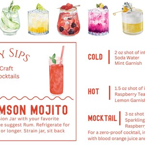 Cocktail Infusion Kit: Cocktail in a Jar, Alcohol Infuser, Mixology - Etsy