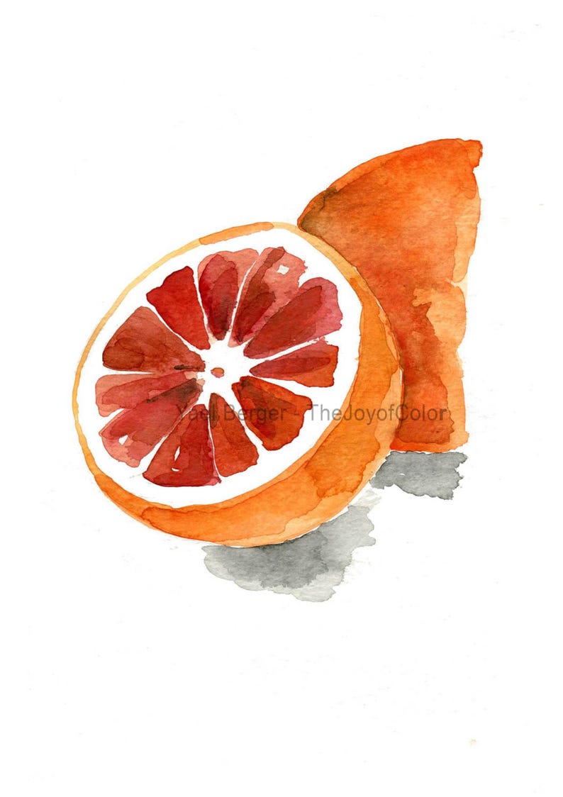 Blood orange 2 art print orange orange impression peinture | Etsy