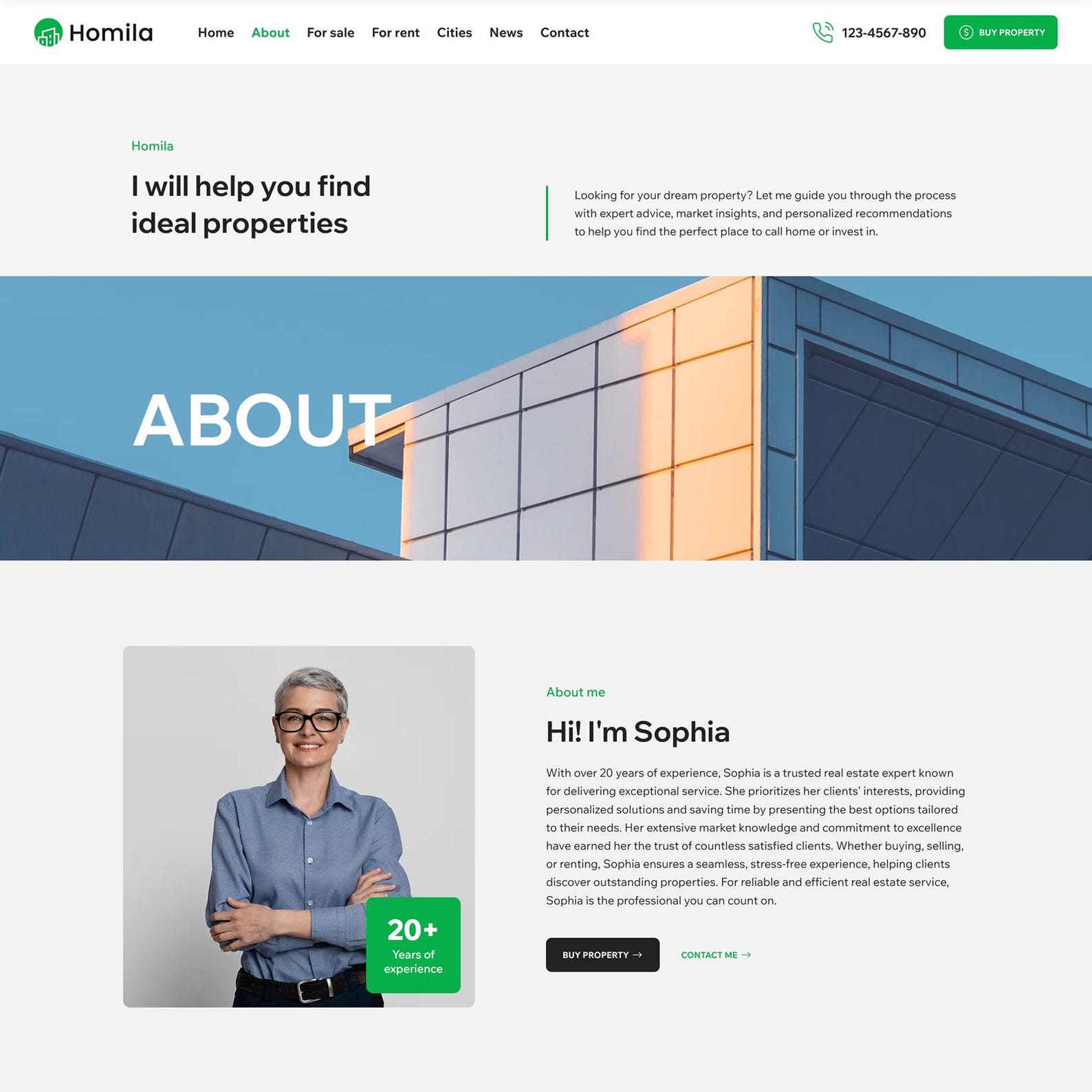 Wix Template for Real Estate Agency or Brokerage | Home/house Websites ...