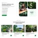Wix Template for Landscaping, Gardening, Home Decoration Services ...