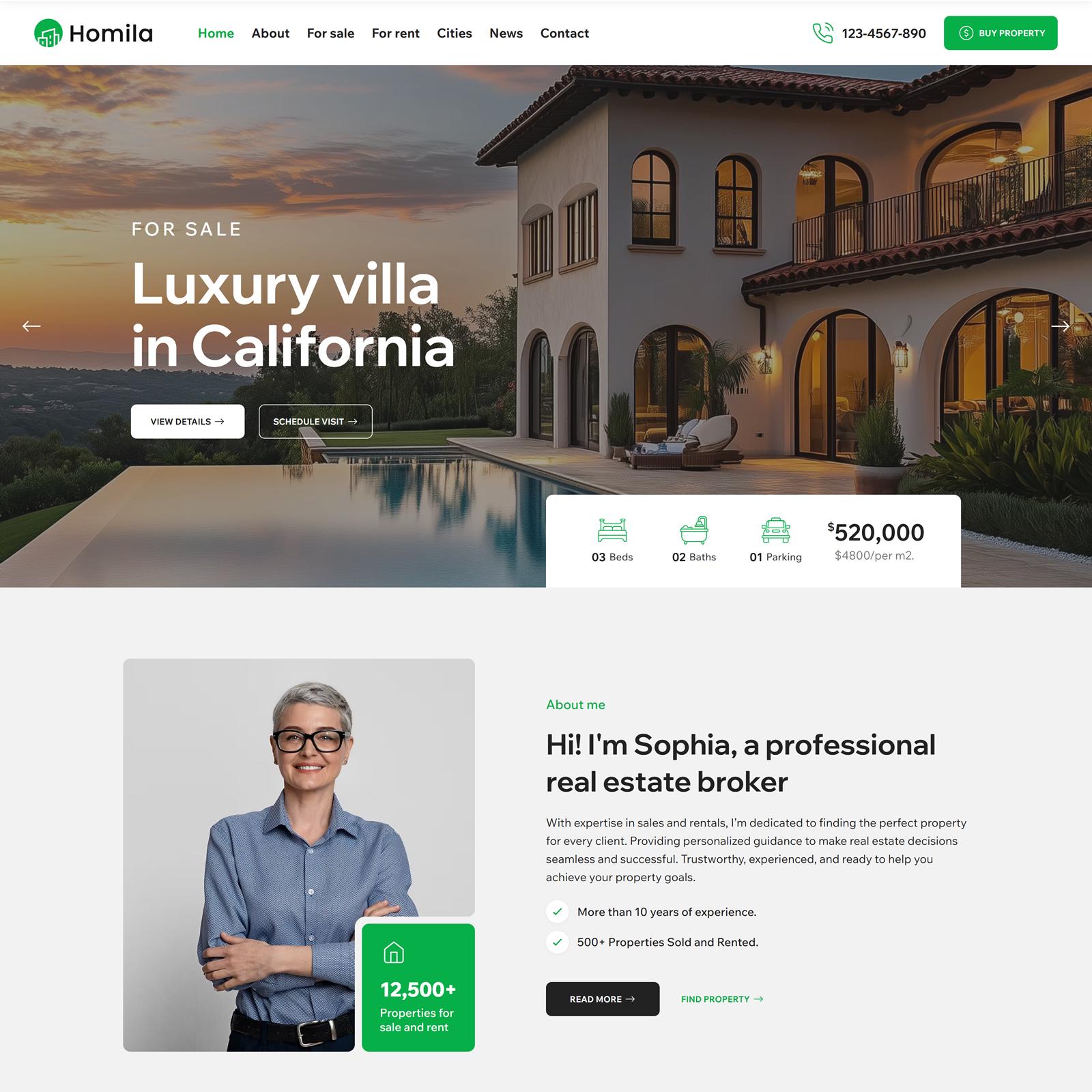 Wix Template for Real Estate Agency or Brokerage | Home/house Websites ...