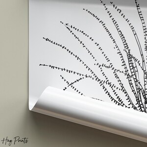 California Yucca Black and White Digital Printable Illustration, Plant ...