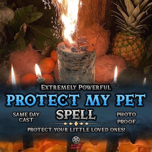 Protect My Pet Spell, Shield My Pet From Harm Curses Illness and ...