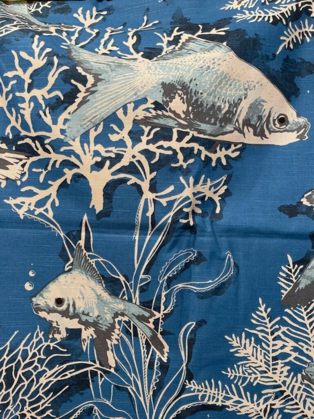 Fish Under Blue Water Aqua Fish Swimming the White Corral of an Asiatic ...