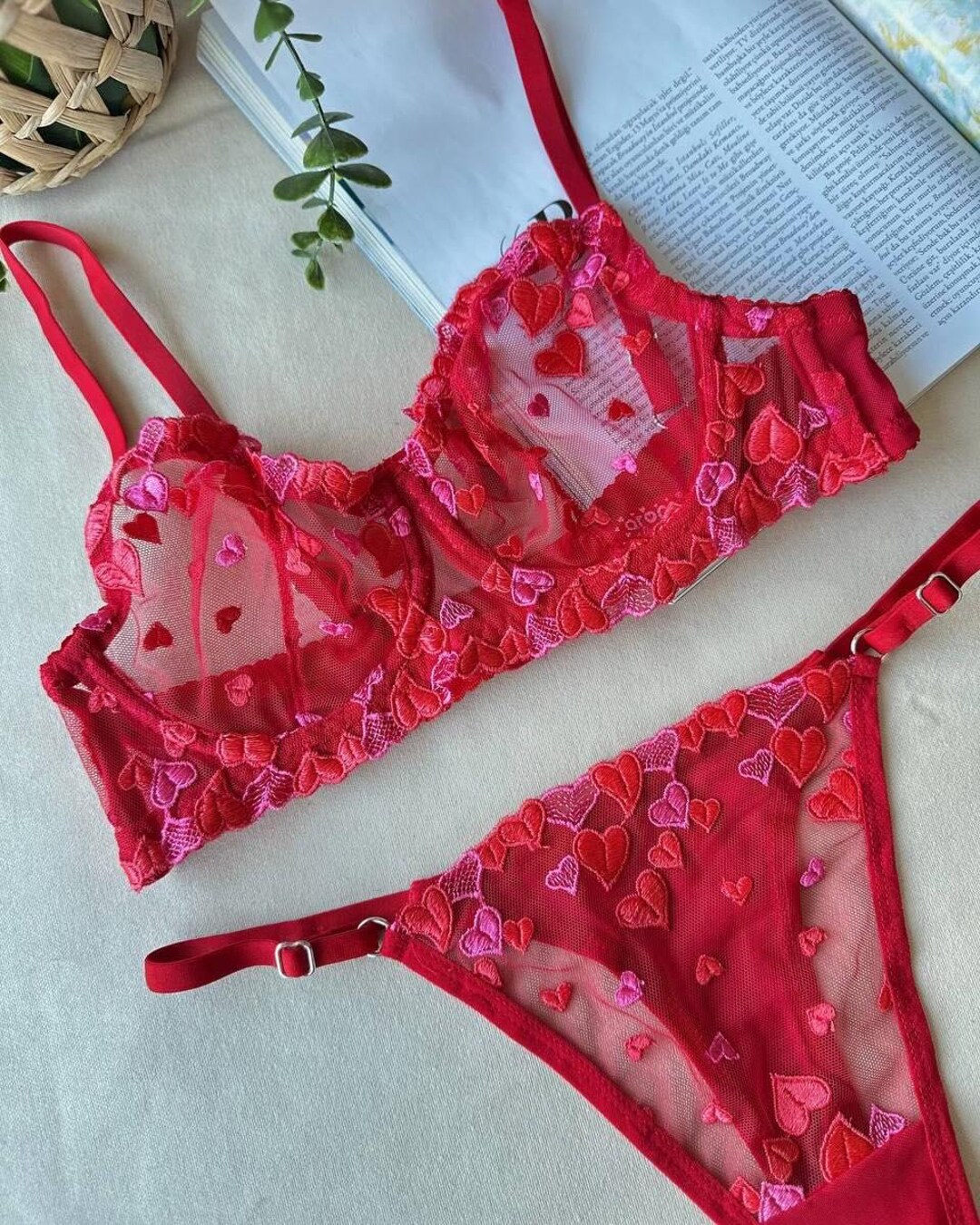 Embroidary Lace Ligerie, Red Lingerie Set,mesh Bra,embroidery Lingerie ...
