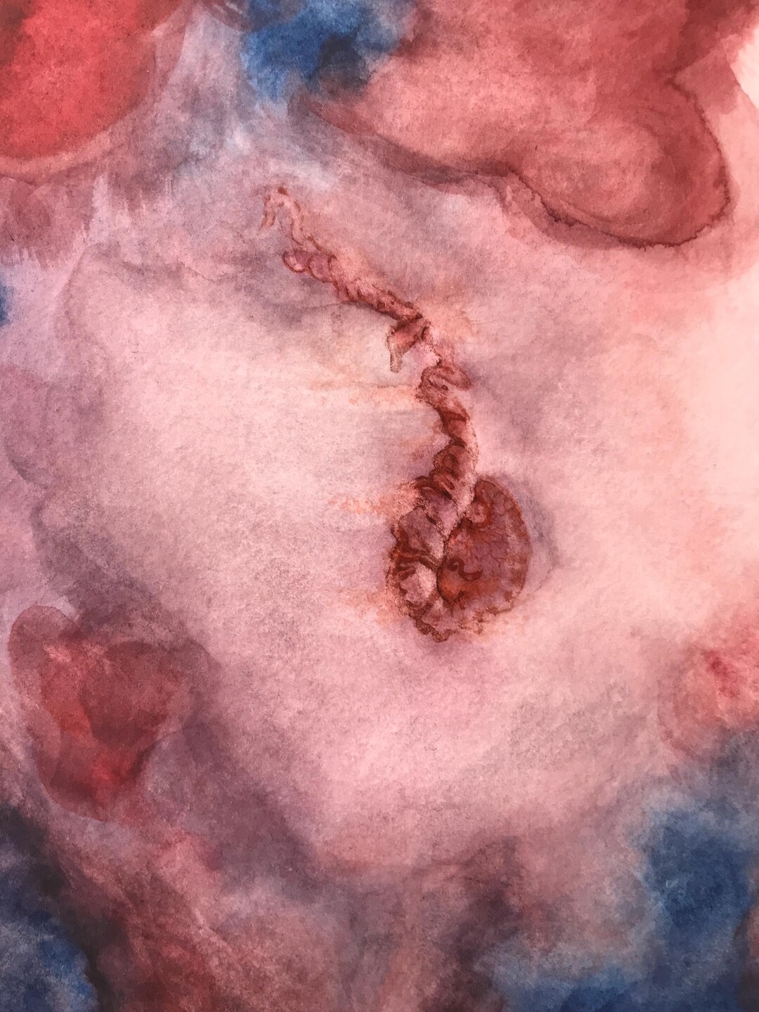 Life Fetus Womb Birth Baby Watercolor Painting Original Handmade 6 X 18 ...