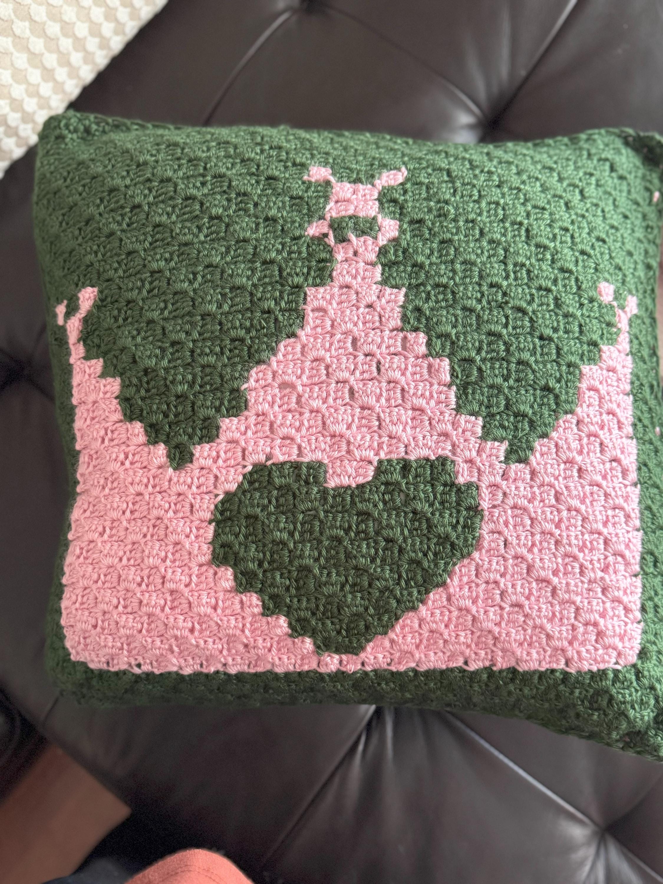 Wicked Inspired Double-sided Pillow Crochet PATTERN - Etsy