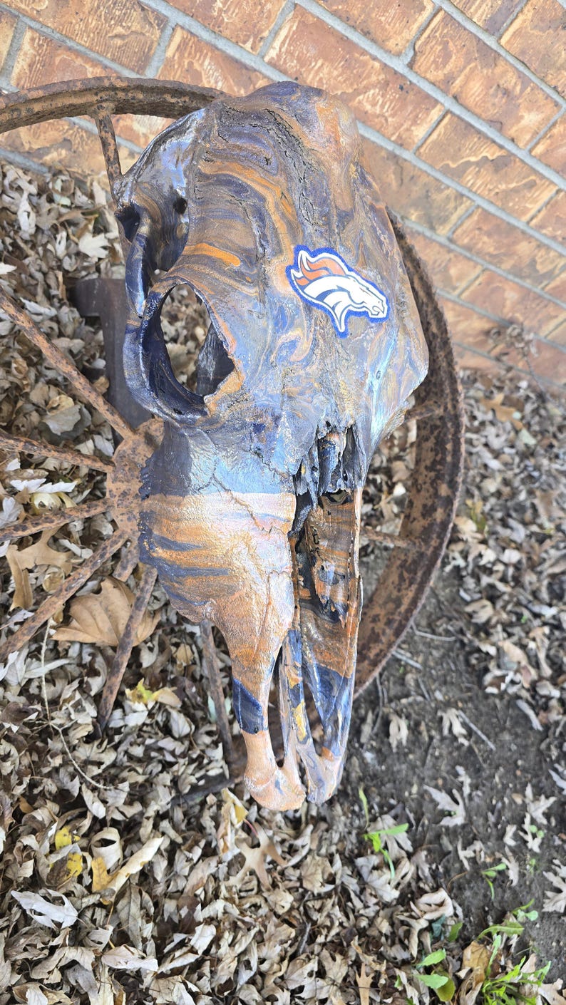 Denver Broncos Painted Cow Skull. - Etsy