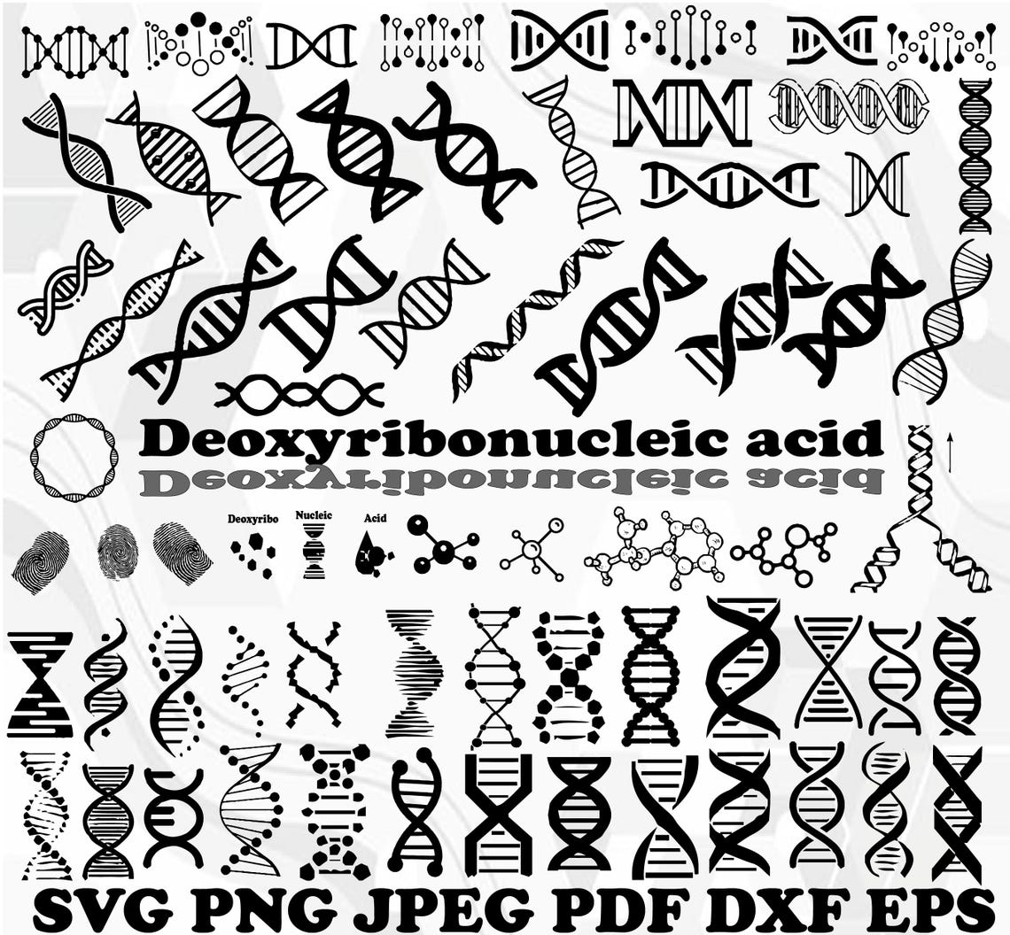 DNA Svg Bundle, DNA Molecule Svg, Dna Model Svg, Dna Cut Files for ...