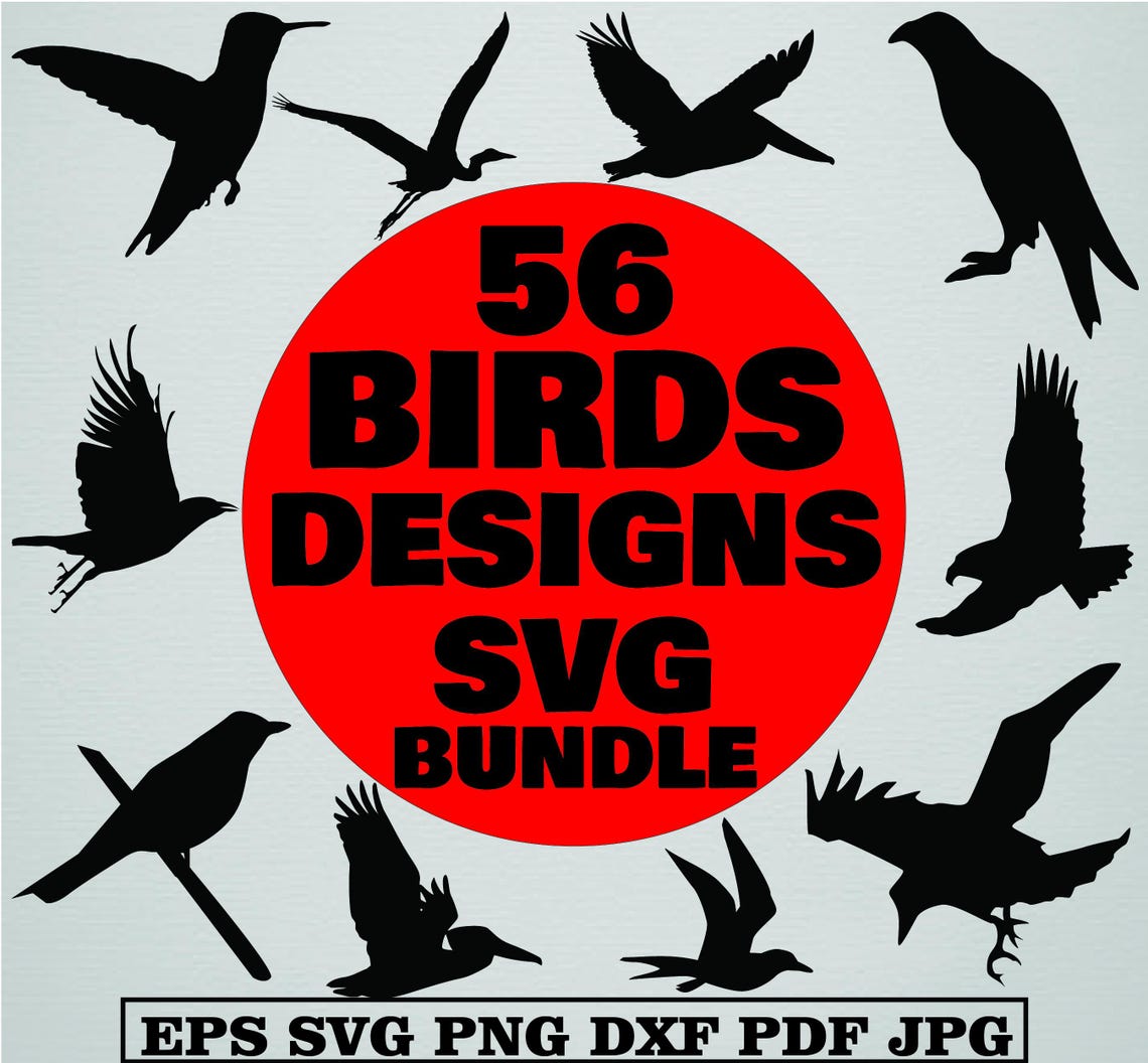 Birds Svg Bundle, Birds Png Bundle, Birds Cut Files for Circut, Birds ...