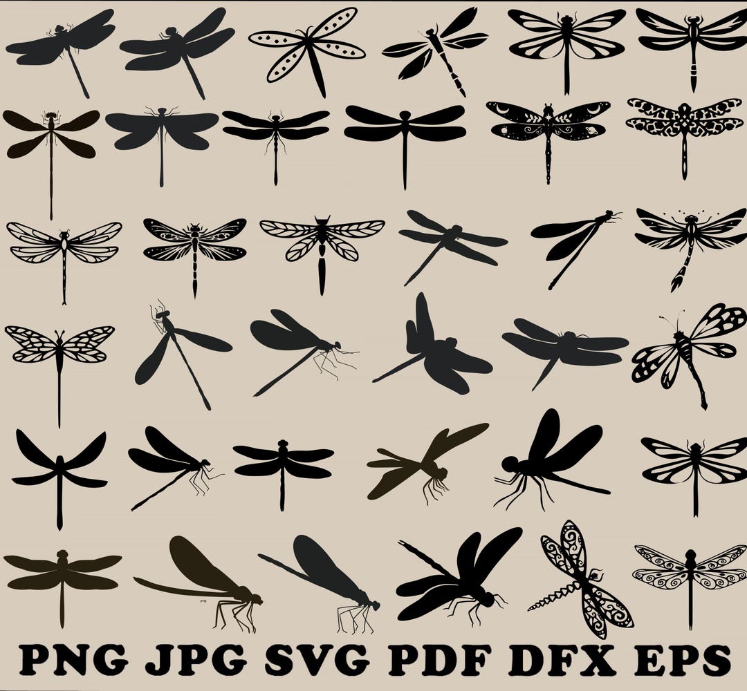 Dragonfly Svg Bundle, Dragonflies Svg, Dragonfly Clipart, Dragonfly Svg ...