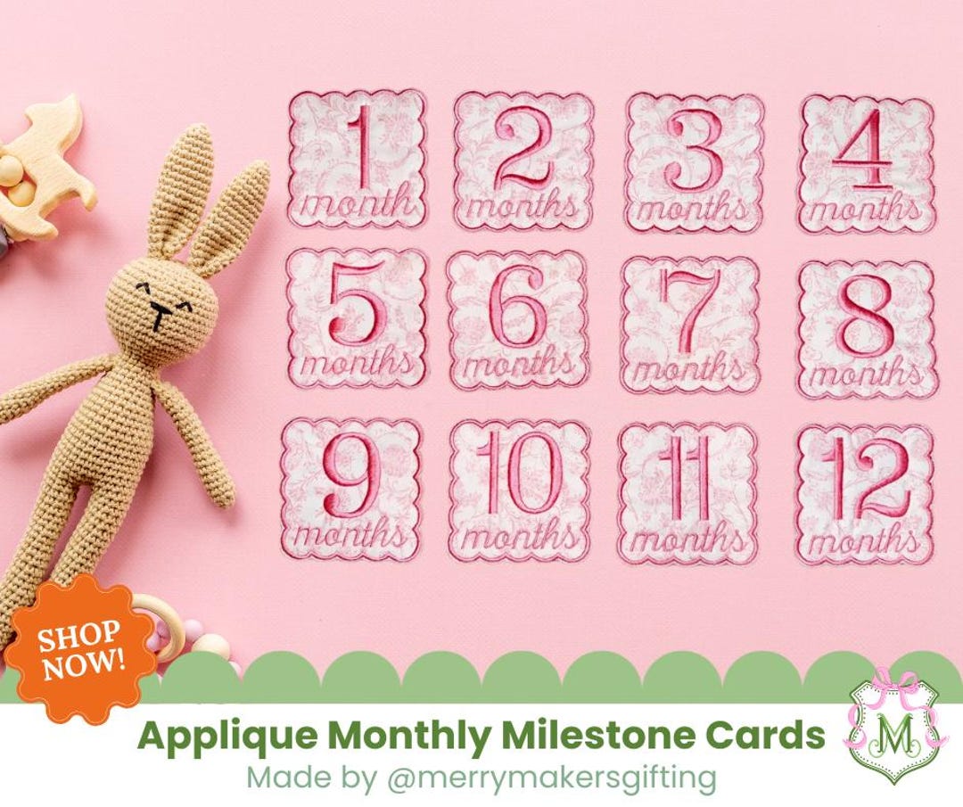 Appliqué Monthly Milestone Cards – Embroidered Baby Photo Props ...