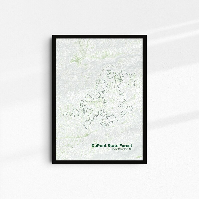 Dupont State Forest Mountain Biking Trails Map Art: North Carolina ...