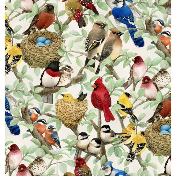 Beautiful Birds Cotton Quilt Fabric by Elizabeths Studio - Etsy