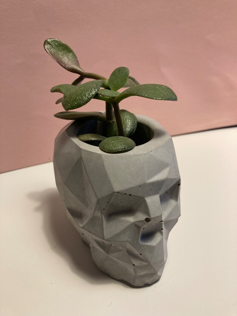 Concrete Planter Zen Planting Mini Pots, Modern Decor, Succulent Pot ...