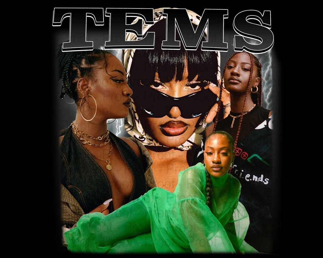 Tems Png, T-shirt Design,300 DPI PNG File Ready to Print - Etsy