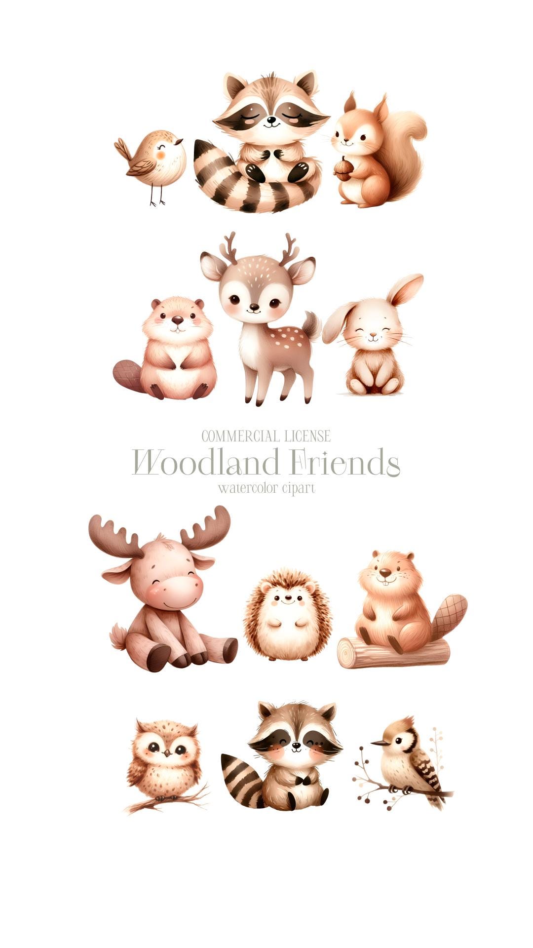 Watercolor Woodland Animals Clipart, Woodland Nursery, Forest Animals ...