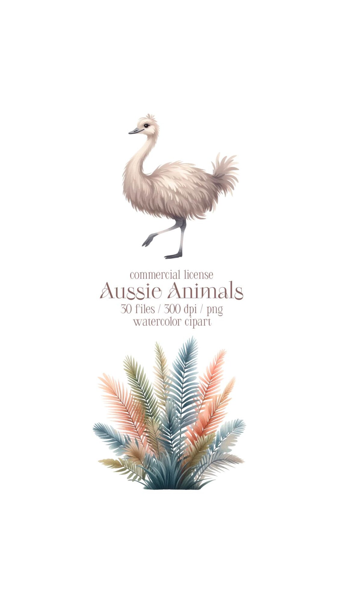 Australian Animals Clipart, Aussie Animals, Australia Clipart, Kangaroo ...