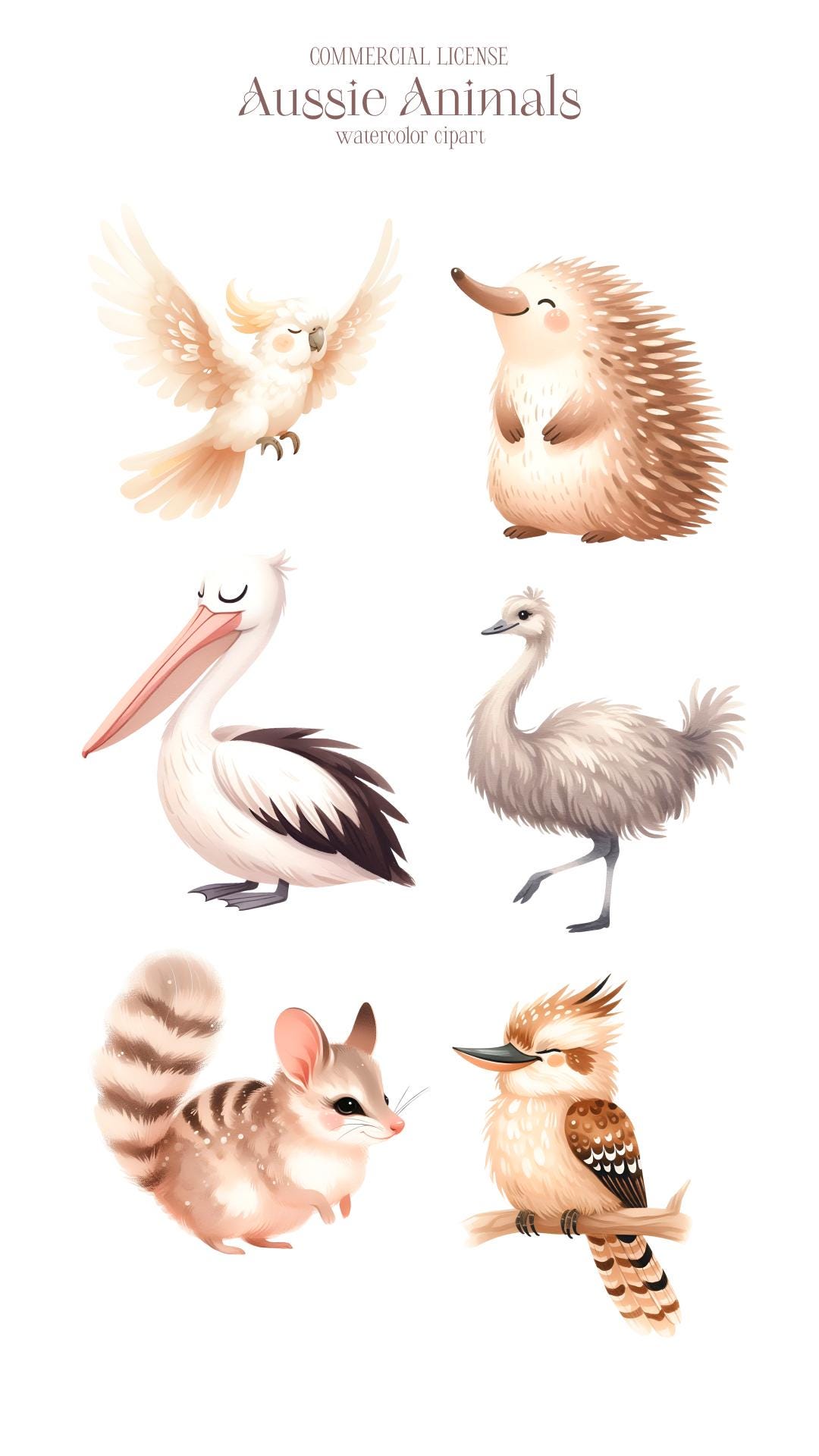 Australian Animals Clipart, Aussie Animals, Australia Clipart, Kangaroo ...