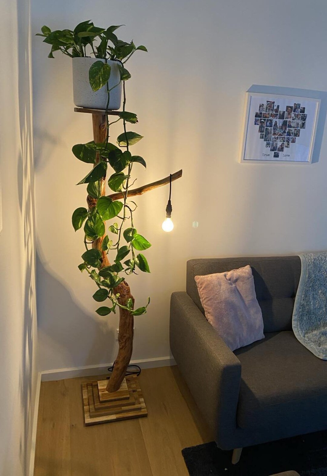 Tree Light Plant Stand - Etsy