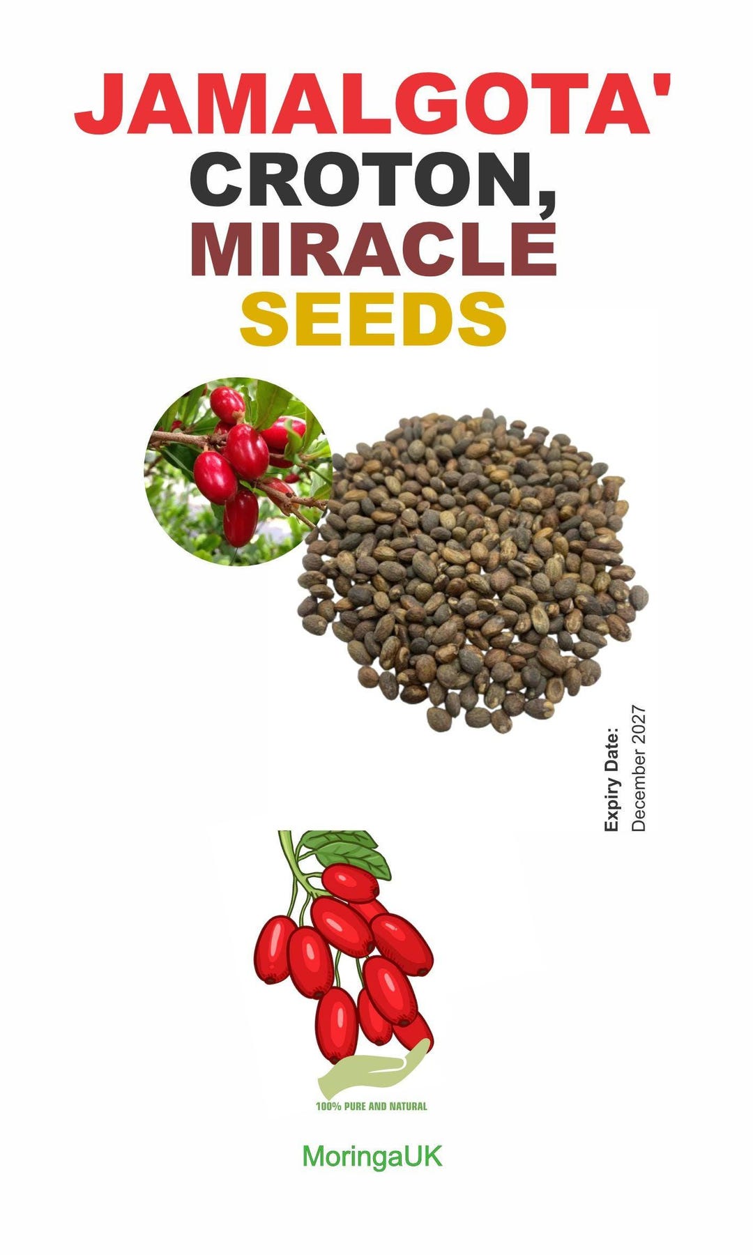 Miracle Ghana Seeds 25g, Purelyagro Jamalgota , Jamal Ghota, Croton - Etsy