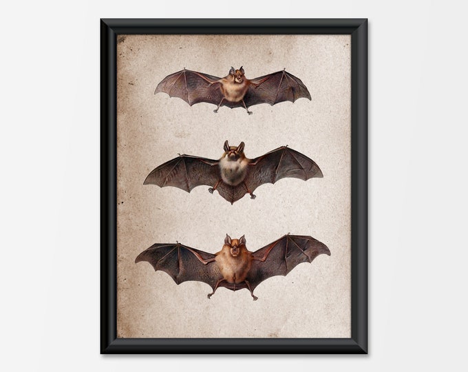 Bat Art Print Wall Decor Vintage Bats Primitive Style Grunge Steampunk ...