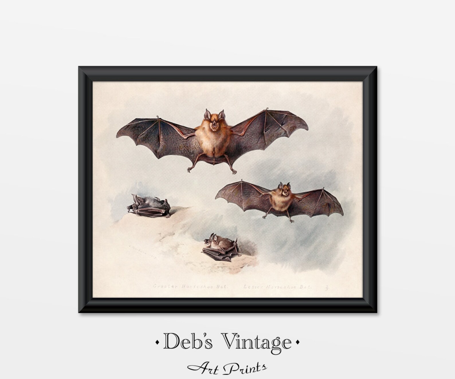 Flying Bats Art Print Home Decor Halloween Natural History - Etsy