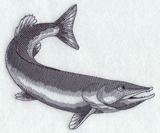 NORTHERN PIKE SKETCH Machine Embroidered Quilt Block azeb | Etsy