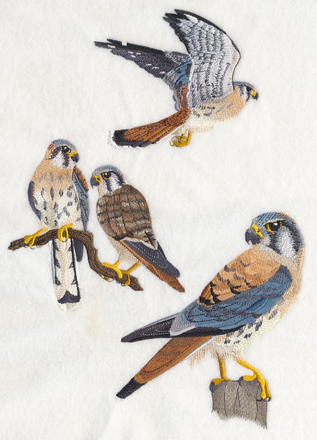 AMERICAN KESTREL COLLAGE - Machine Embroidered Quilt Block (azeb) - Etsy