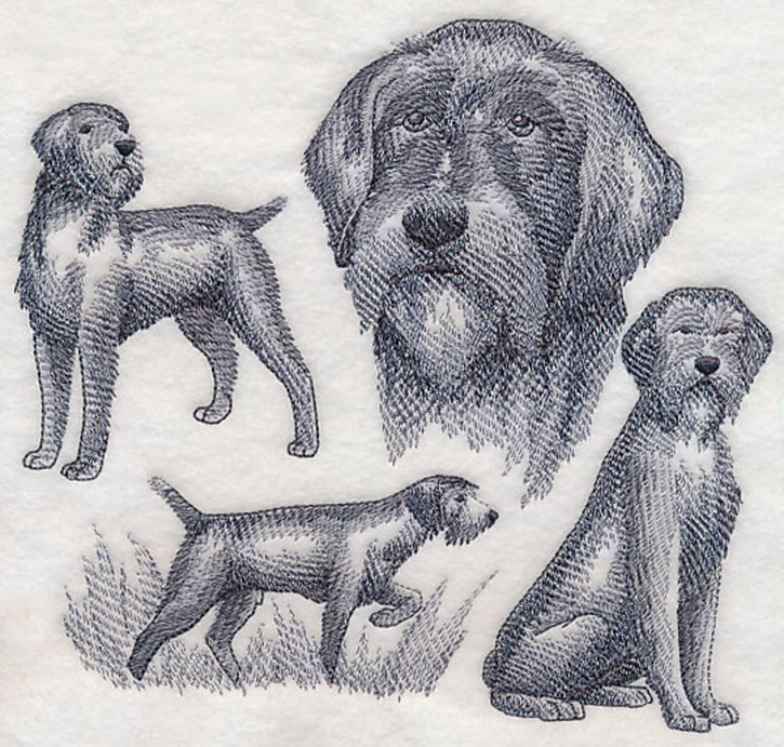 WIREHAIRED POINTING GRIFFON Sketch Machine Embroidery Quilt - Etsy