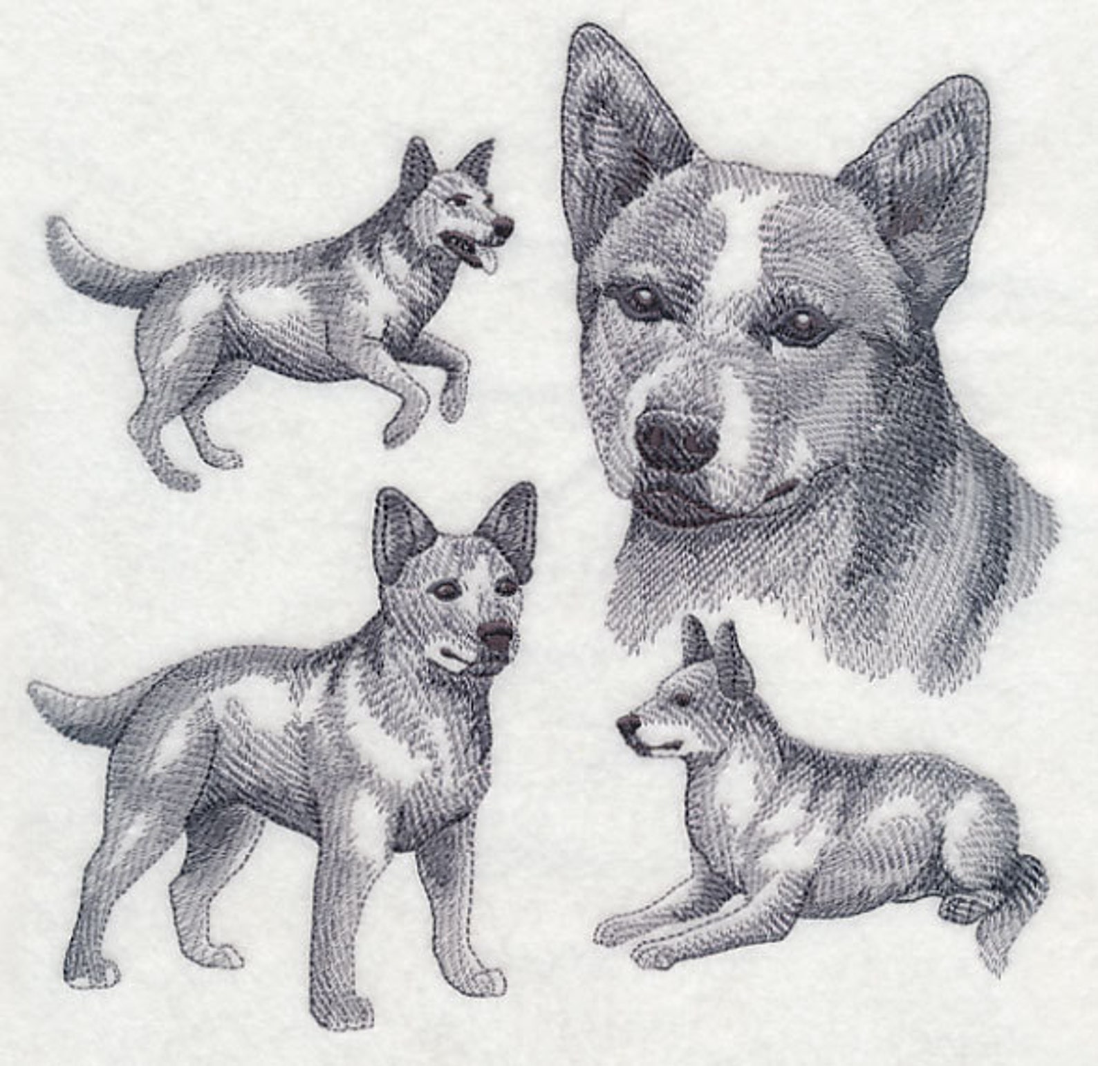 RED HEELER SKETCH Machine Embroidered Quilt Blocks AzEB | Etsy