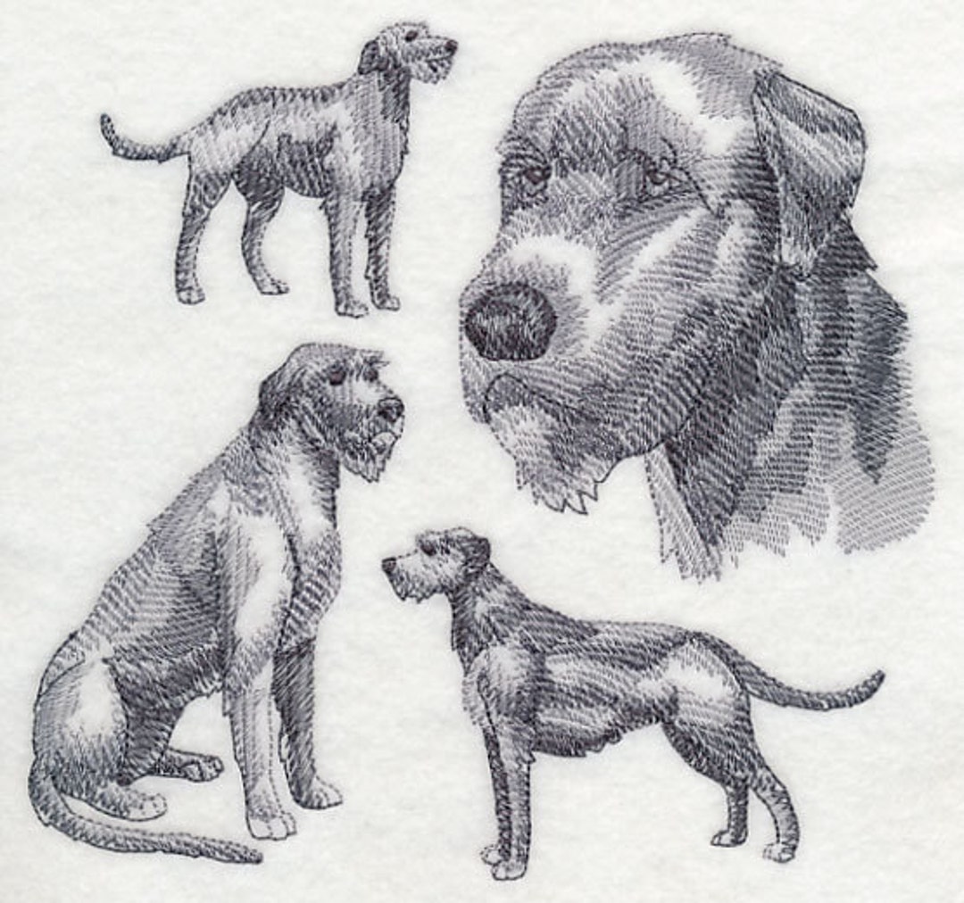 IRISH WOLFHOUND SKETCH- Machine Embroidery Quilt Blocks (azeb) - Etsy