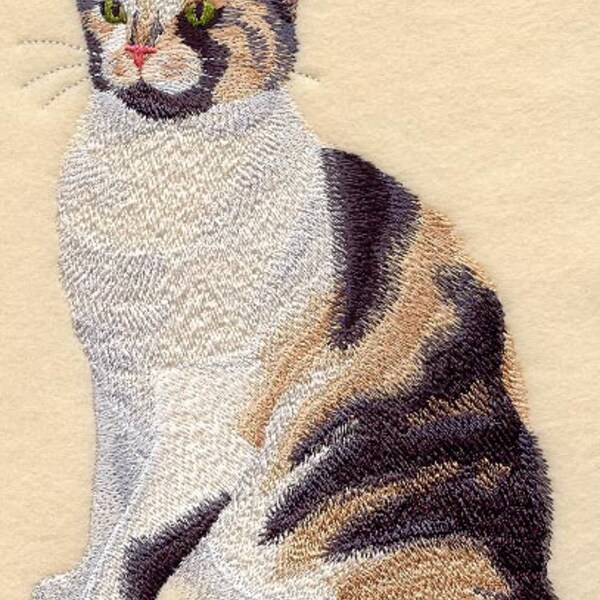 Calico Cat Art - Etsy