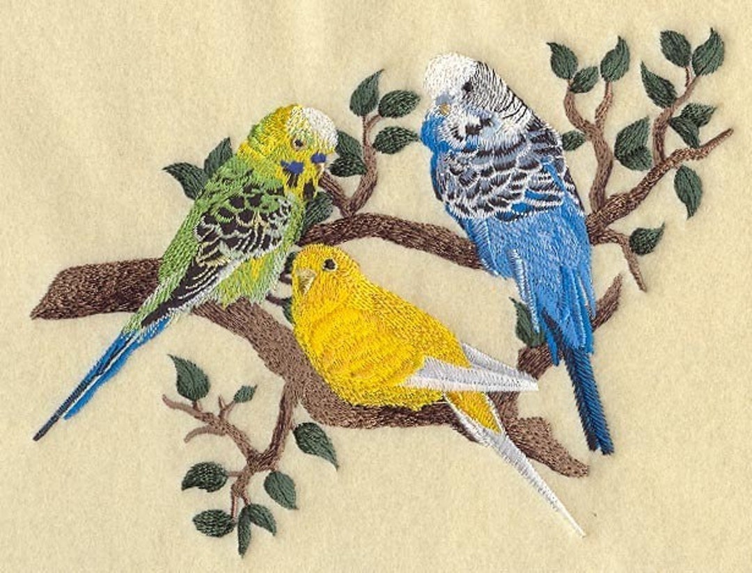 3 PARAKEETS Machine Embroidery Quilt Block azeb - Etsy Australia