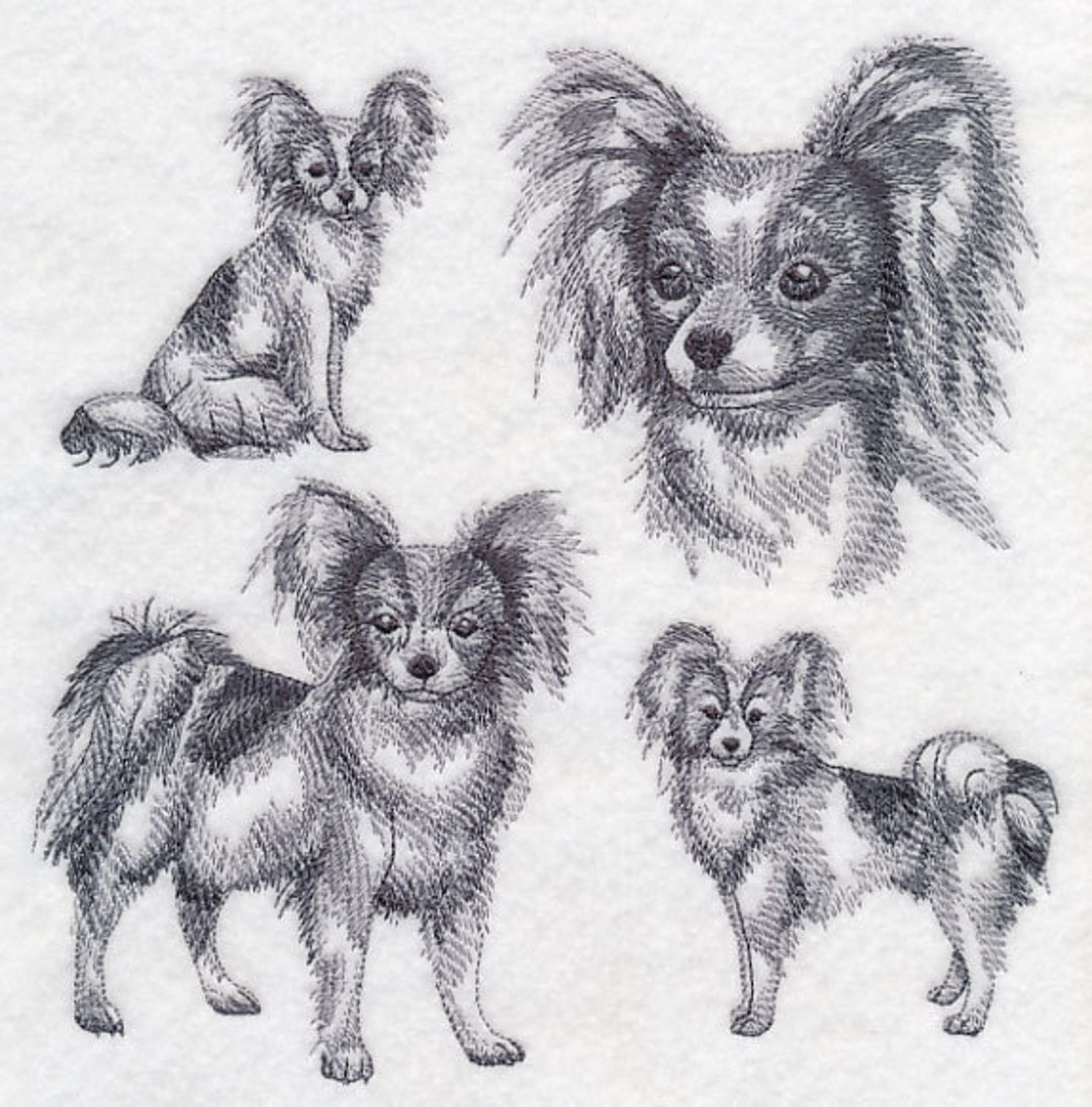 PAPILLON SKETCH Machine Embroidery Quilt Blocks azeb - Etsy