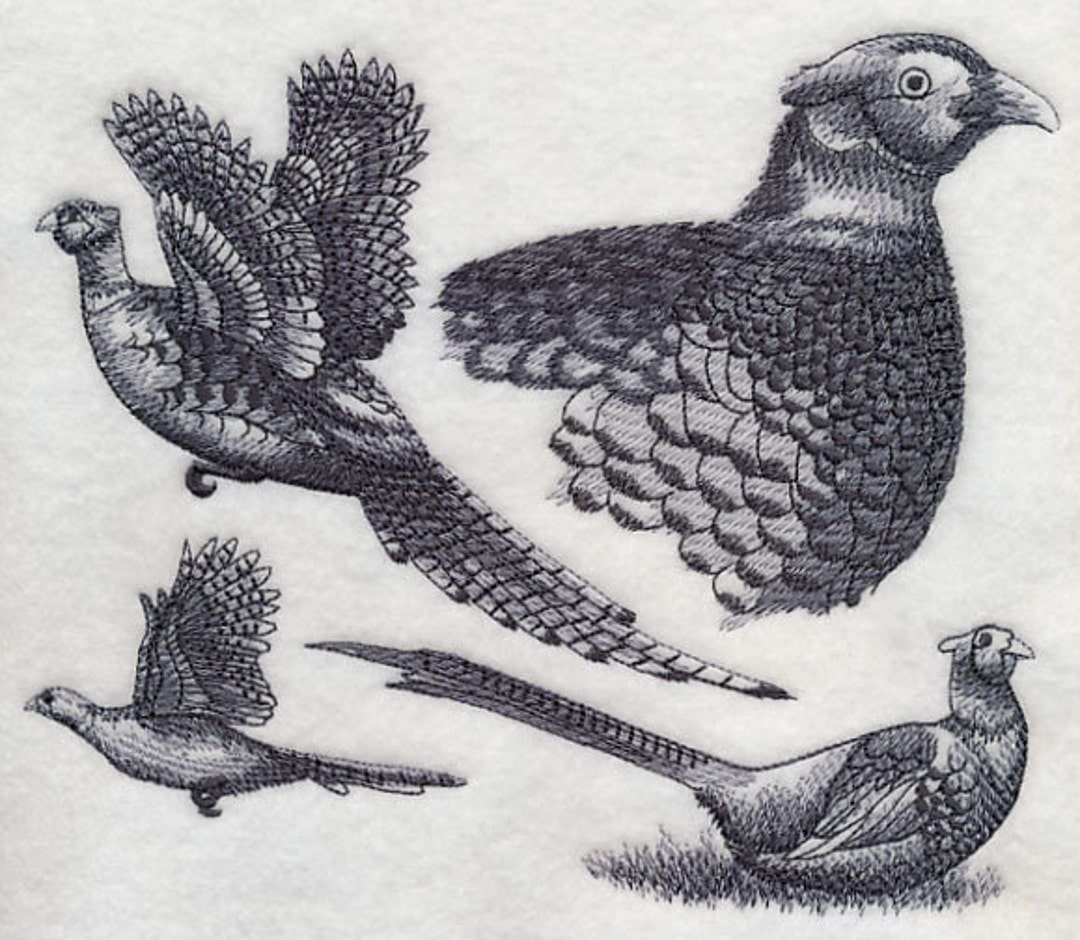 PHEASANT SKETCH- Machine Embroidery Quilt Blocks (azeb) - Etsy
