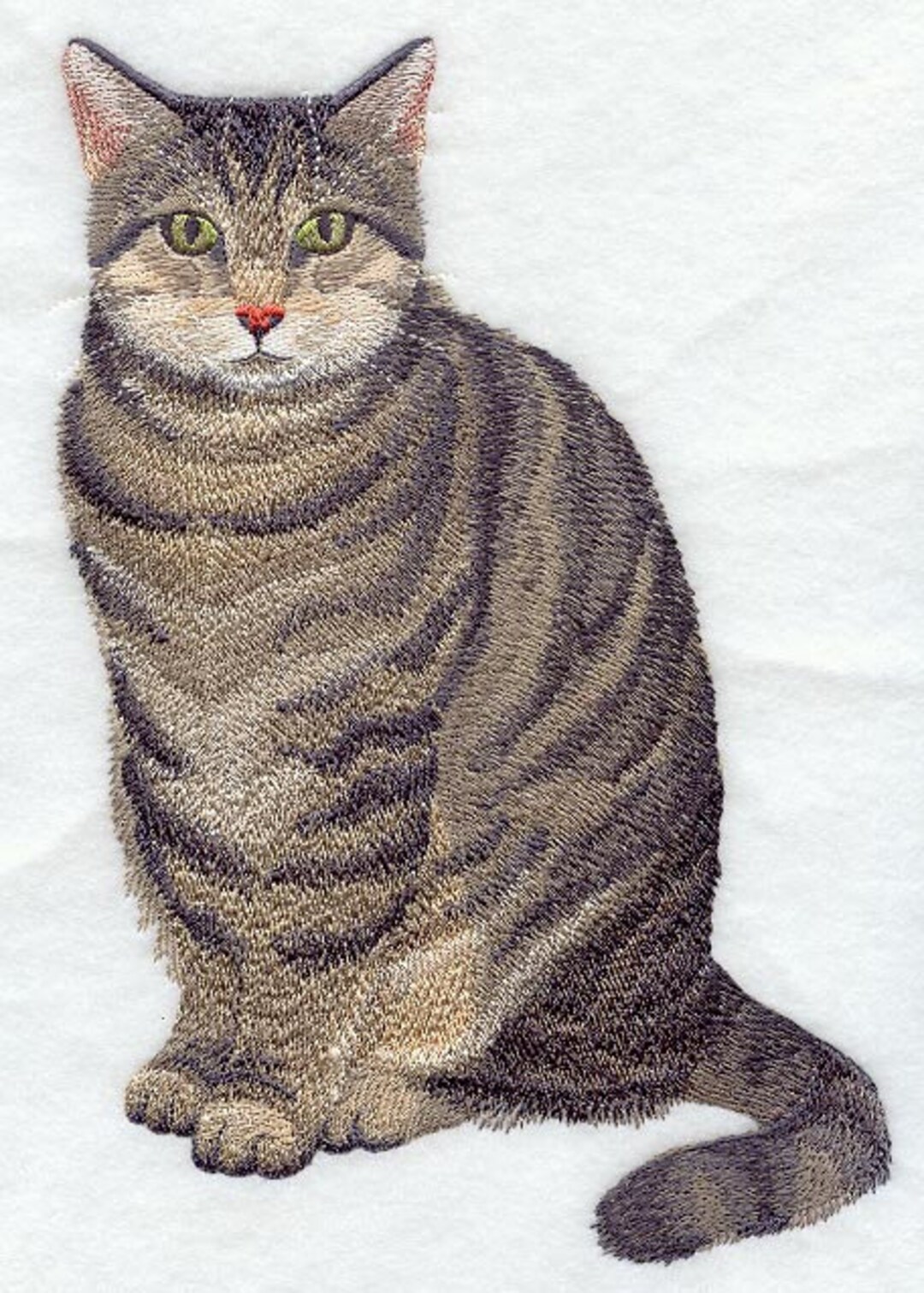 BROWN TABBY CAT - Machine Embroidered Quilt Blocks (azeb) - Etsy