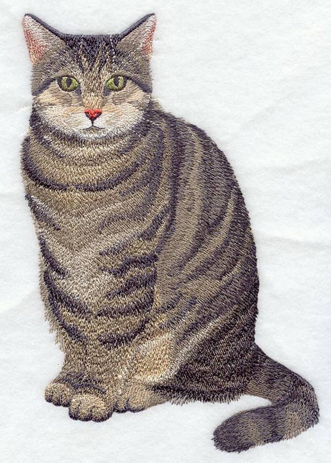 BROWN TABBY CAT Machine Embroidered Quilt Blocks azeb - Etsy