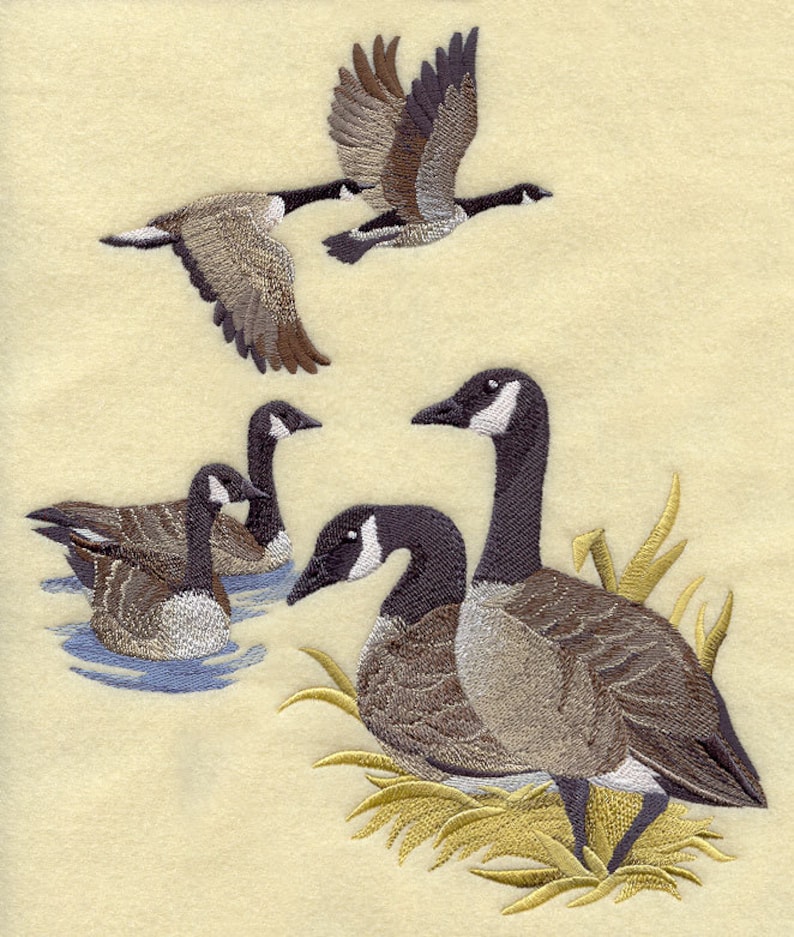 CANADA GOOSE COLLAGE Machine Embroidery Quilt Blocks azeb - Etsy