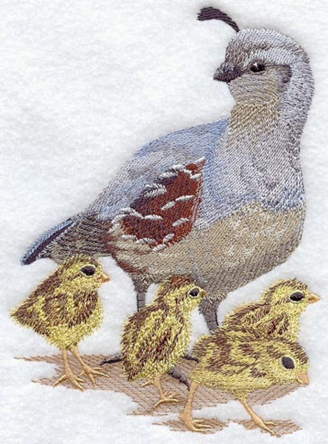 GAMBEL QUAIL and CHICKS- Machine Embroidered Quilt Blocks (azeb) - Etsy