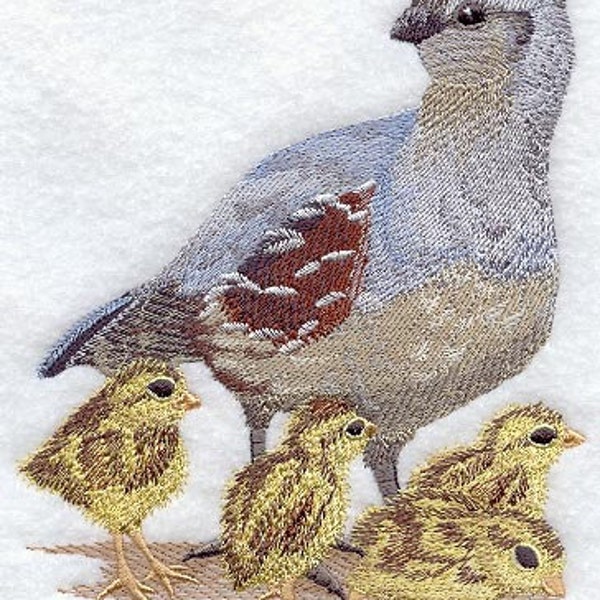 Gambels Quail - Etsy
